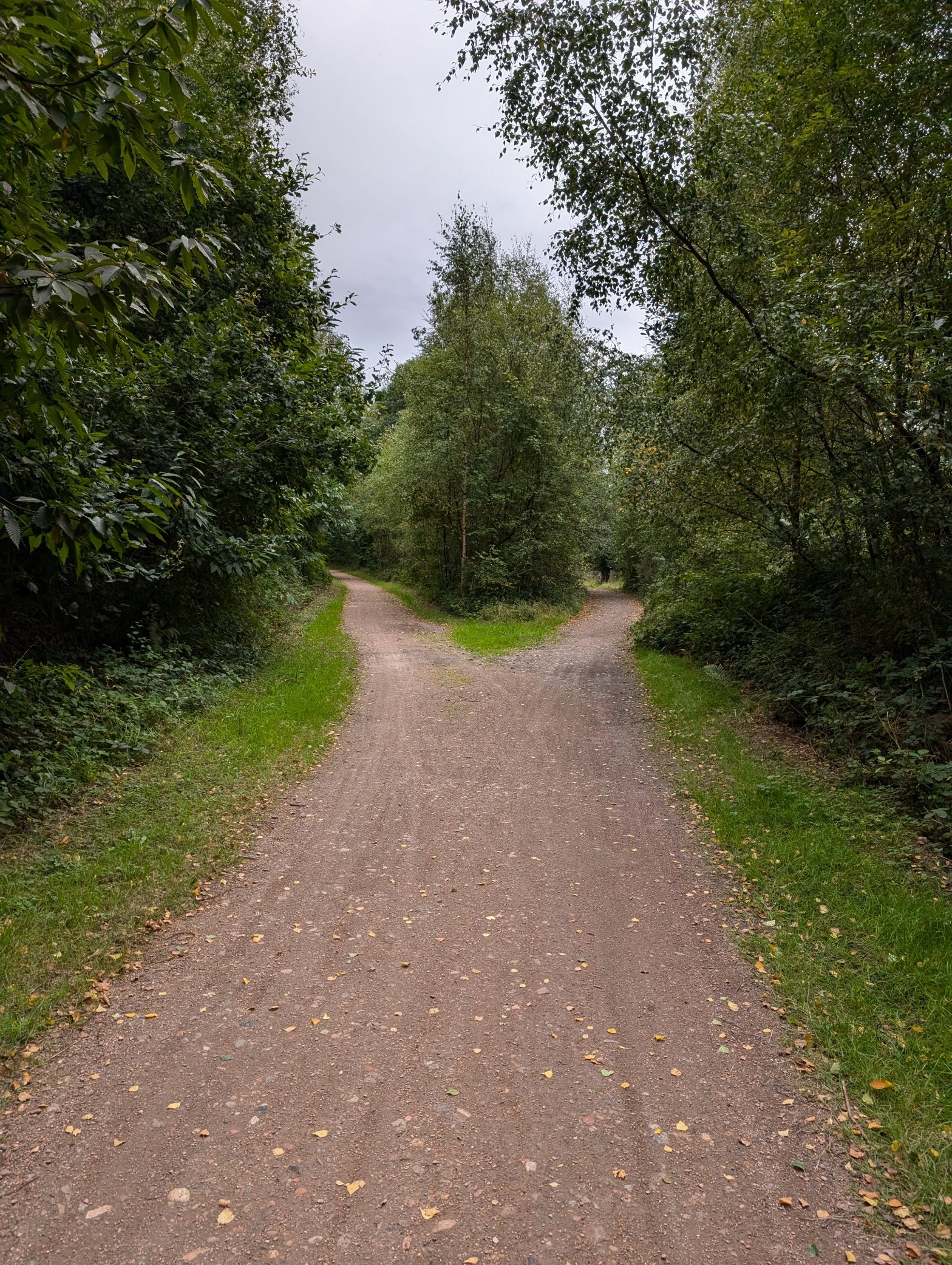 Sheffield Cycle Routes & Resources – The definitive guide to getting ...