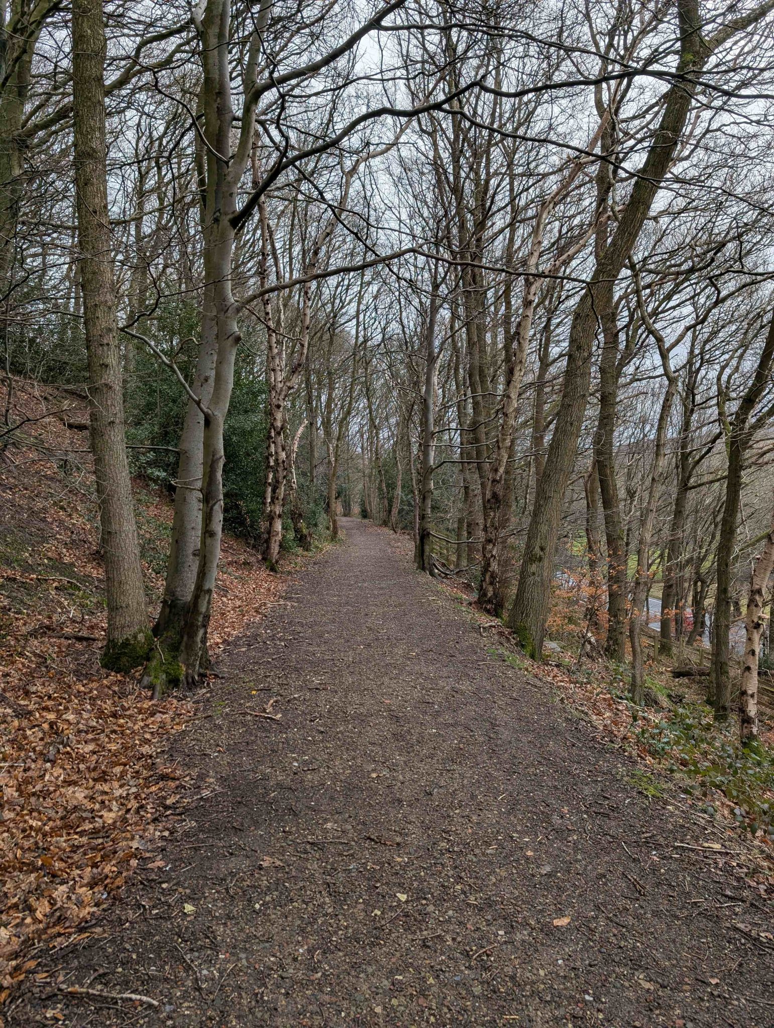 Sheffield Cycle Routes & Resources – The definitive guide to getting ...