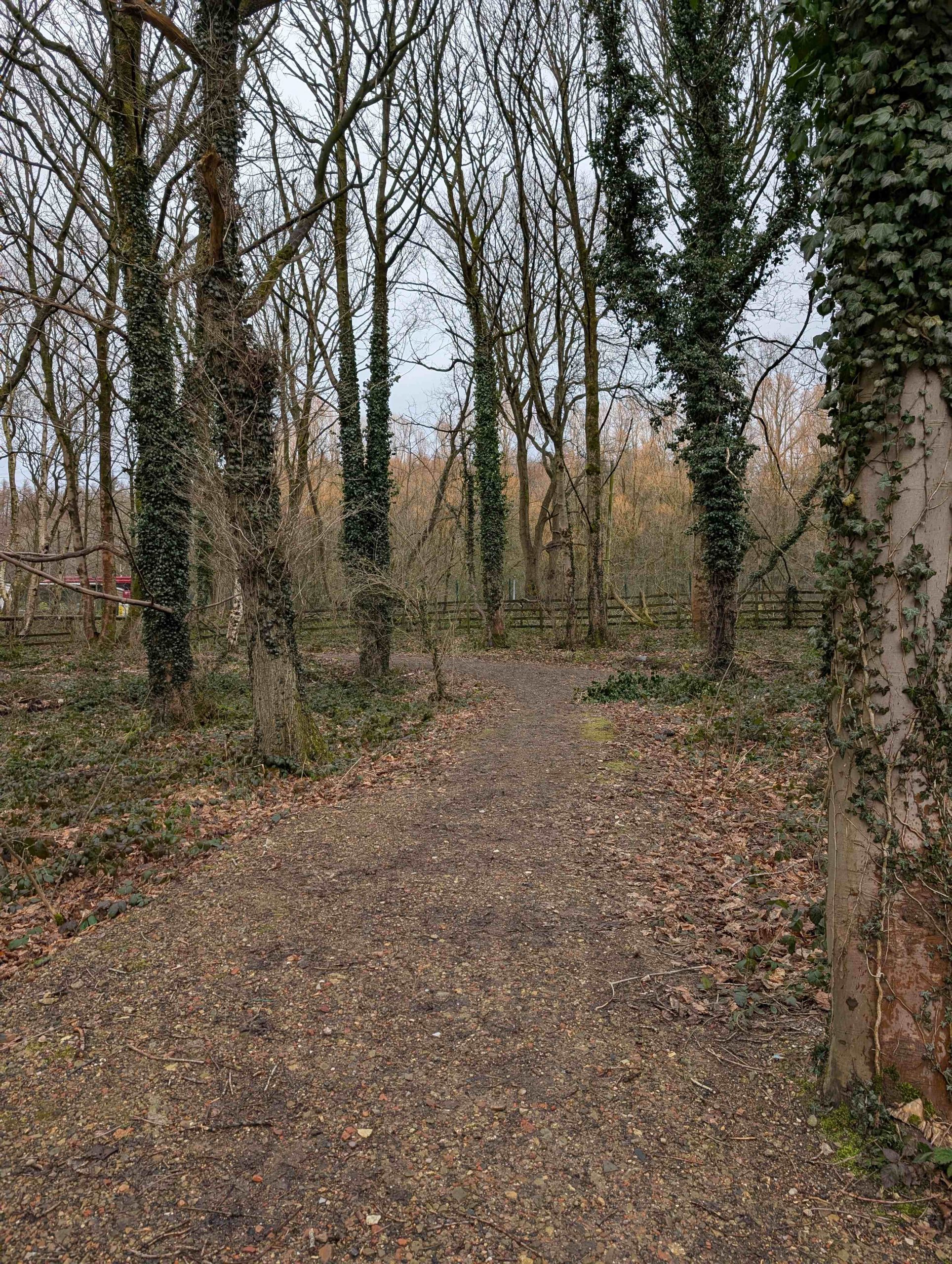 Sheffield Cycle Routes & Resources – The definitive guide to getting ...